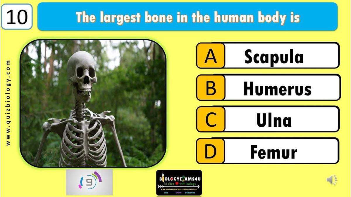 "Test Your Human Body Knowledge! Human Body GK Quiz Challenge || How ...