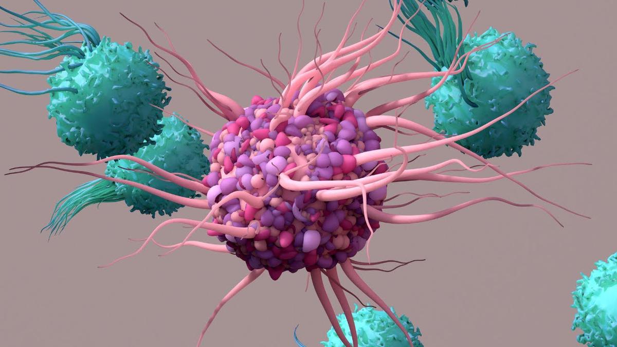 How Immune cells kills bacteria, virus and cancer cells? ||3D ...